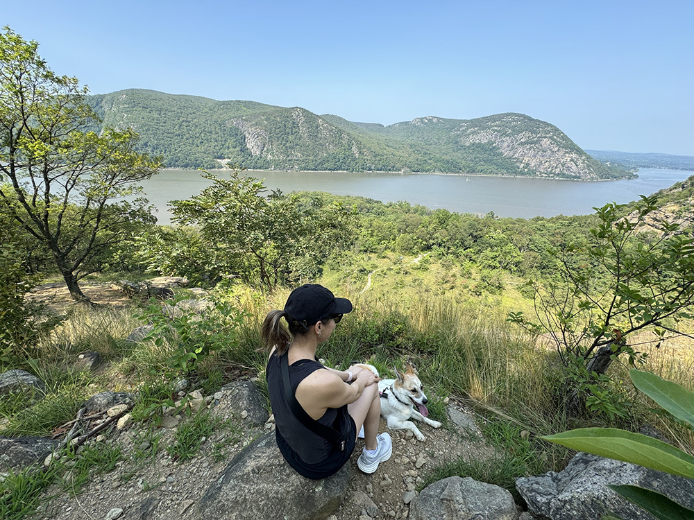 Day trip ideas from NYC: a hiking trail in Cold Spring accessible by ...